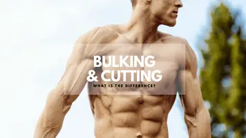 What is Cutting and Bulking? - Lean With Style
